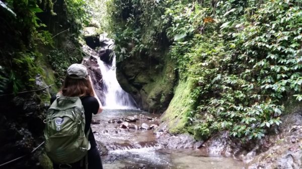 Things to Do in Mindo: A Nature Lover's Paradise | EcuaTouring